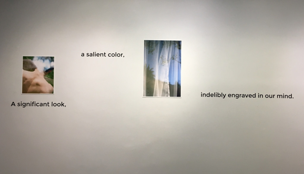 Finding Beauty in the Details | Art U News