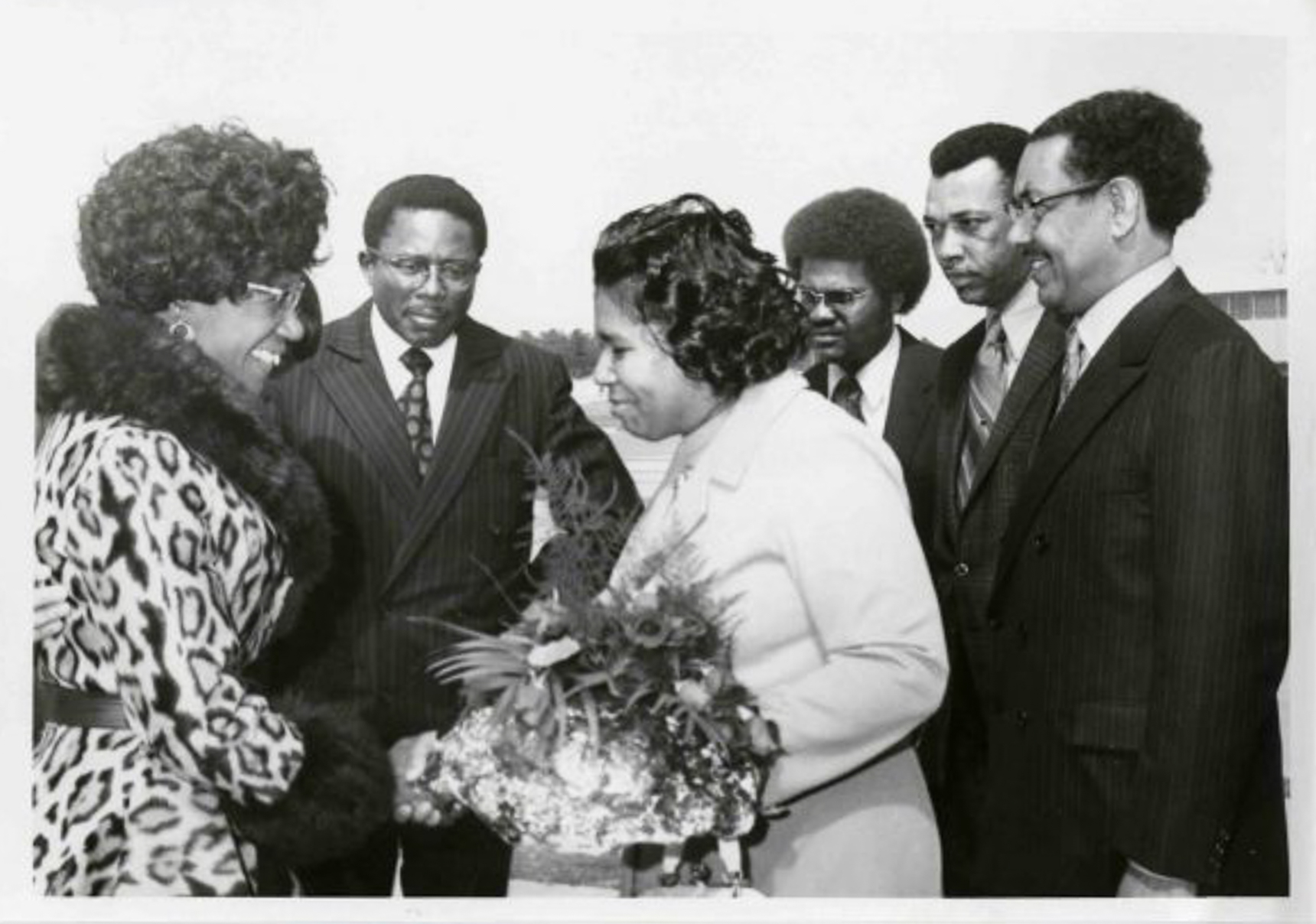 Academy Library Publishes Black History Month Resource Guide | Art U News