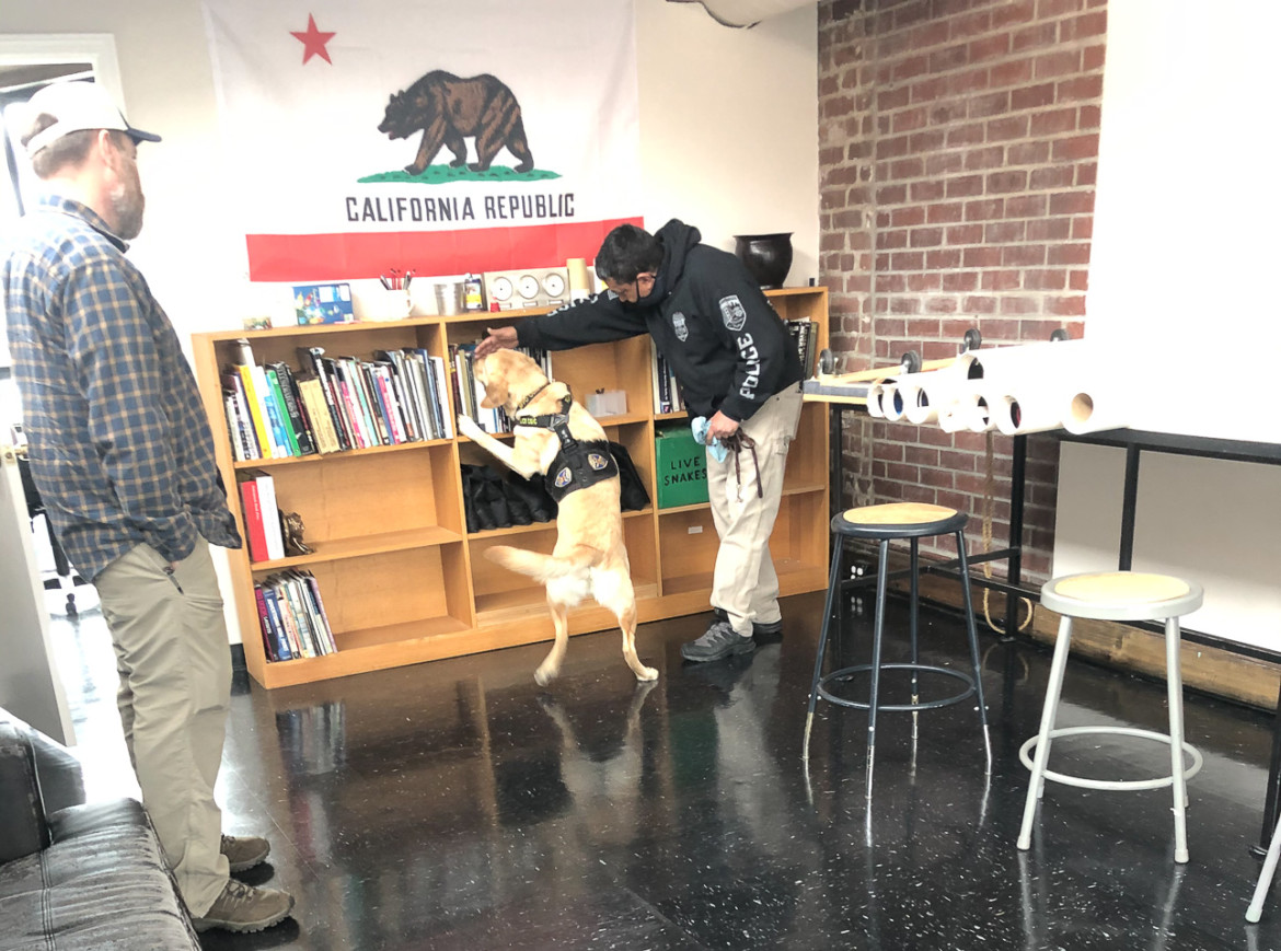 Academy Opens its Doors for Special K-9 Training | Art U News