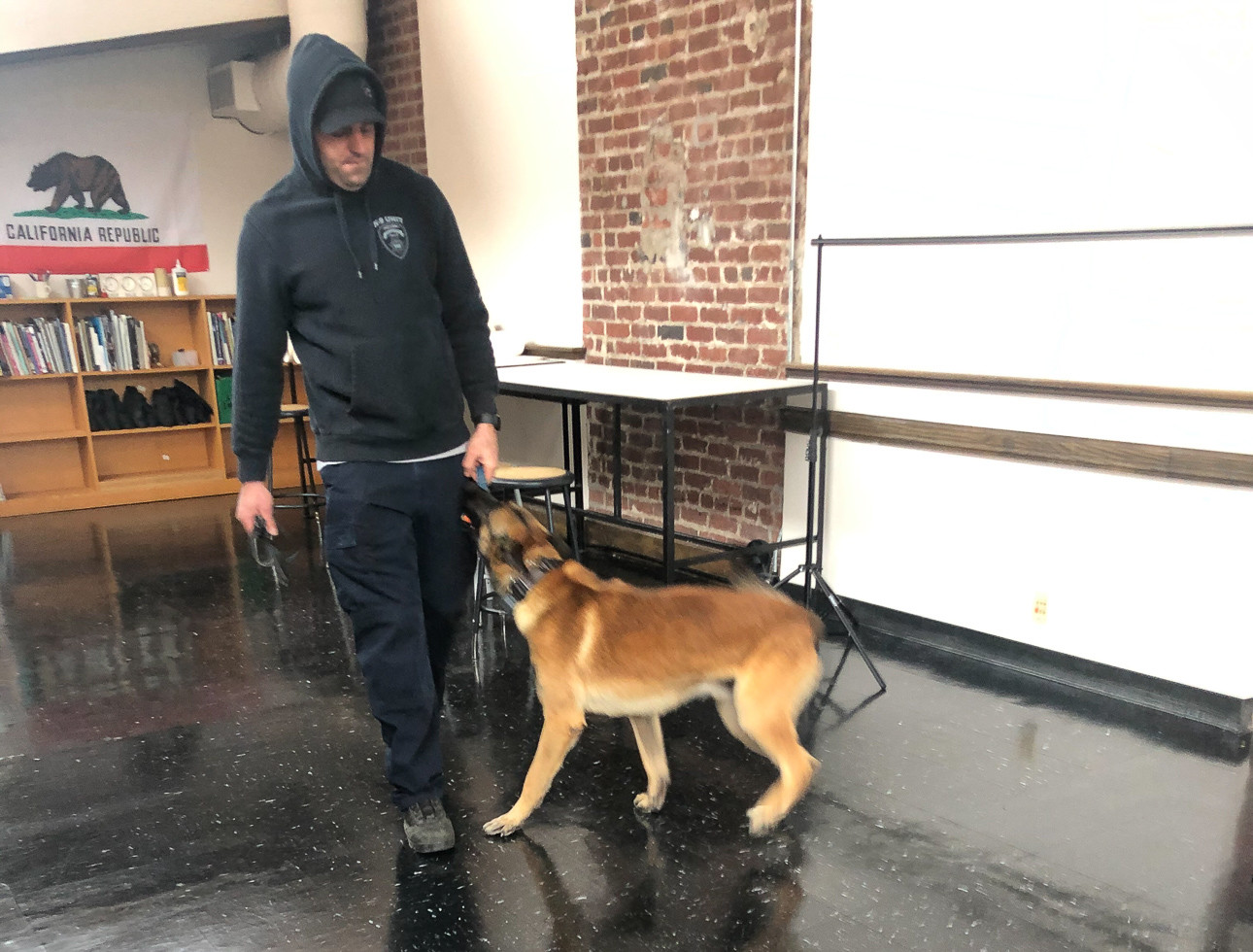 Academy Opens its Doors for Special K-9 Training | Art U News