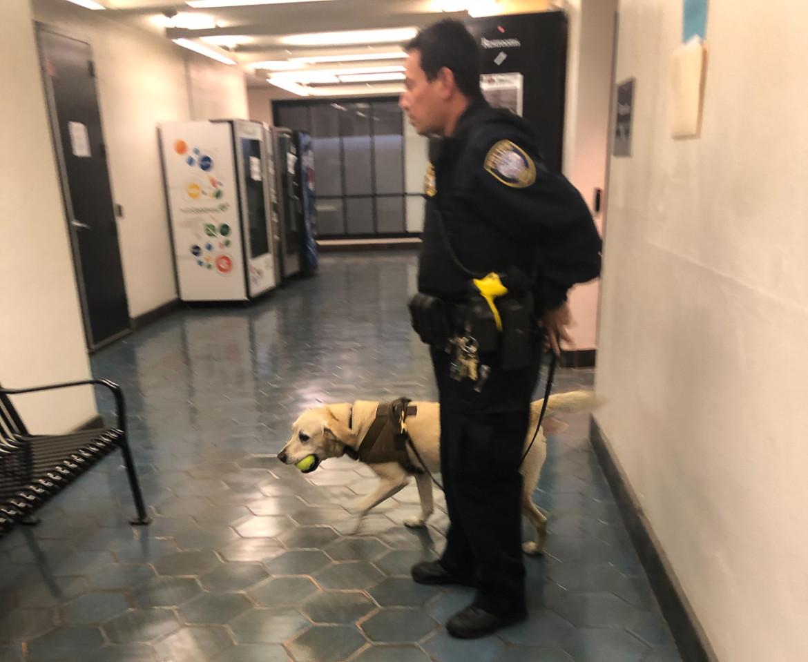 Academy Opens its Doors for Special K-9 Training | Art U News