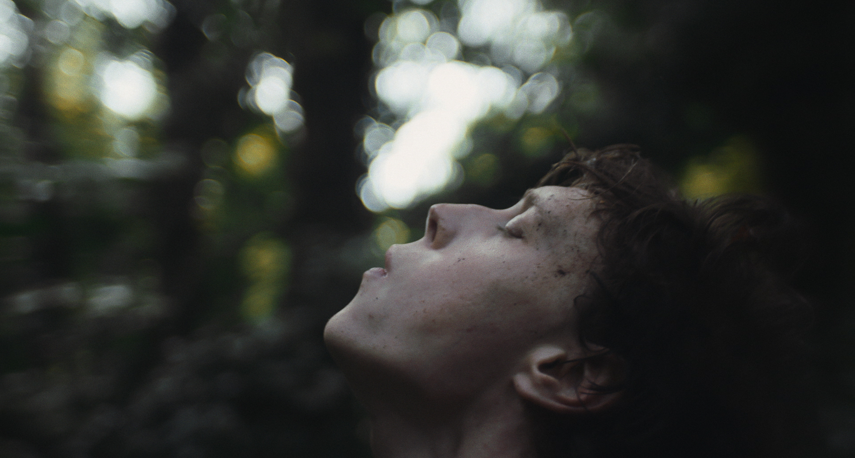 Film Review: "Wolf" | Art U News