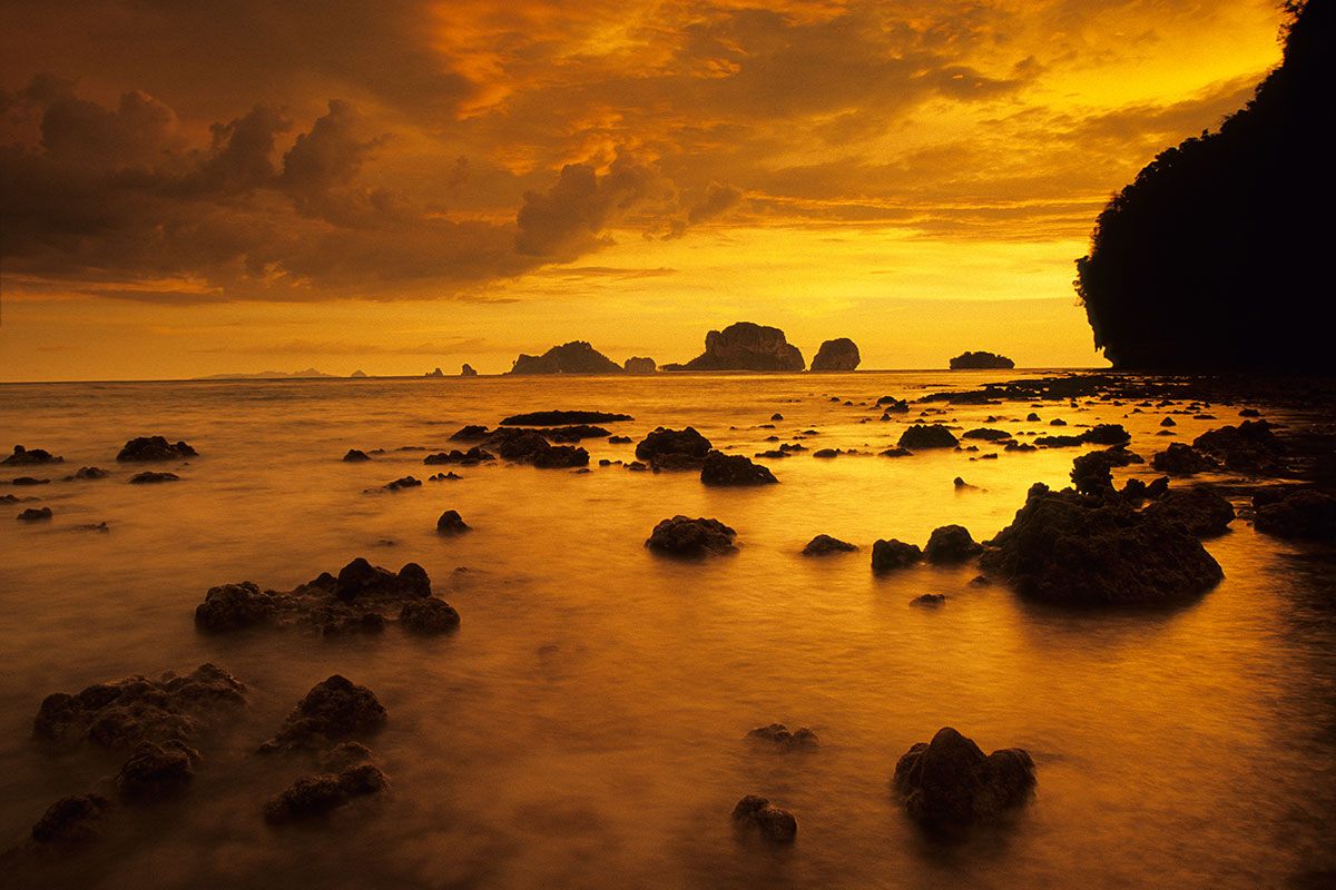 Celebrating the Life and Art of Ryan Baldwin